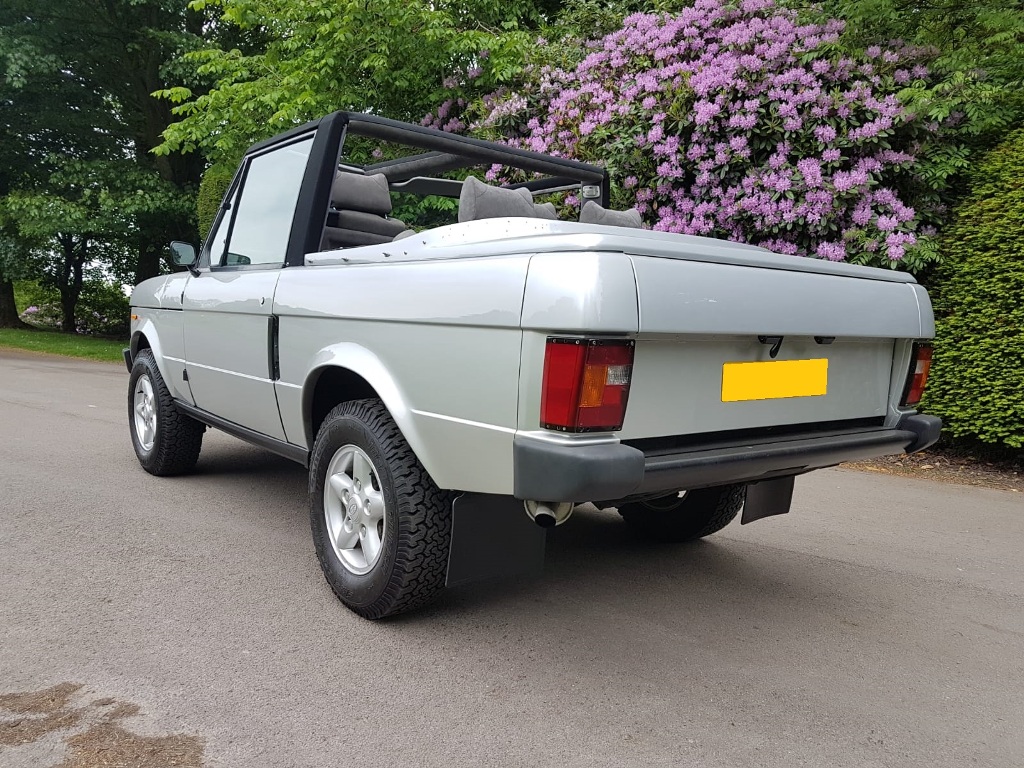 IMG-20210615-WA0030 - Simmonites