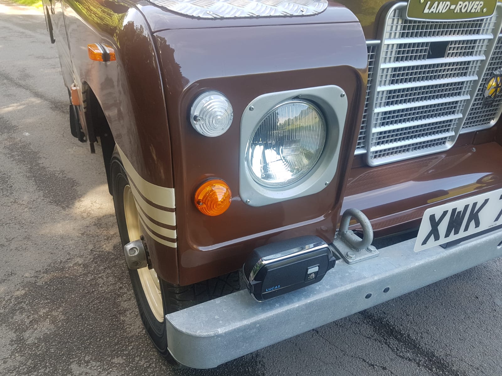 IMG-20210617-WA0040 - Simmonites