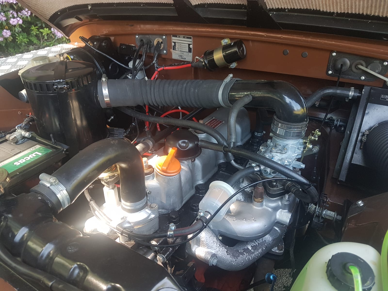 IMG-20210617-WA0041 - Simmonites