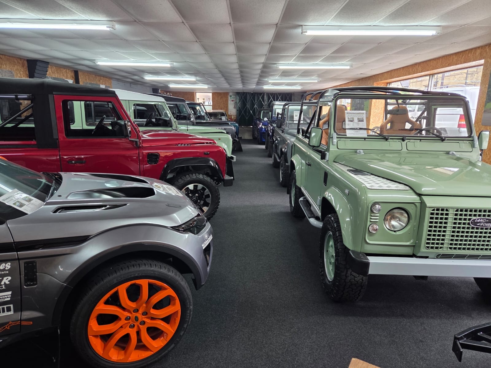 IMG-20250717-WA0000 - Simmonites